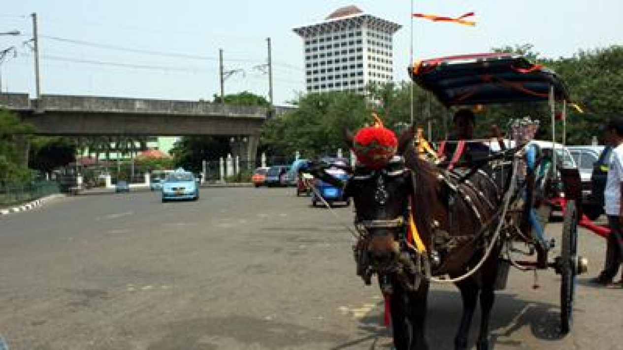 Foto Kusir Delman Bakal Geruduk Kantor Heru Budi Gegara Dilarang ... Foto Kusir Delman Bakal Geruduk Kantor Heru Budi Gegara Dilarang ...