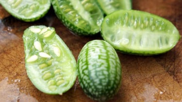 Cucamelon, Mirip Semangka Tapi Rasa Mentimun & Jeruk Nipis