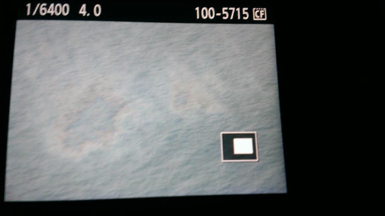 Foto TNI AU: Temuan Ceceran Minyak Bisa Jadi Titik Terang AirAsia Foto TNI AU: Temuan Ceceran Minyak Bisa Jadi Titik Terang AirAsia