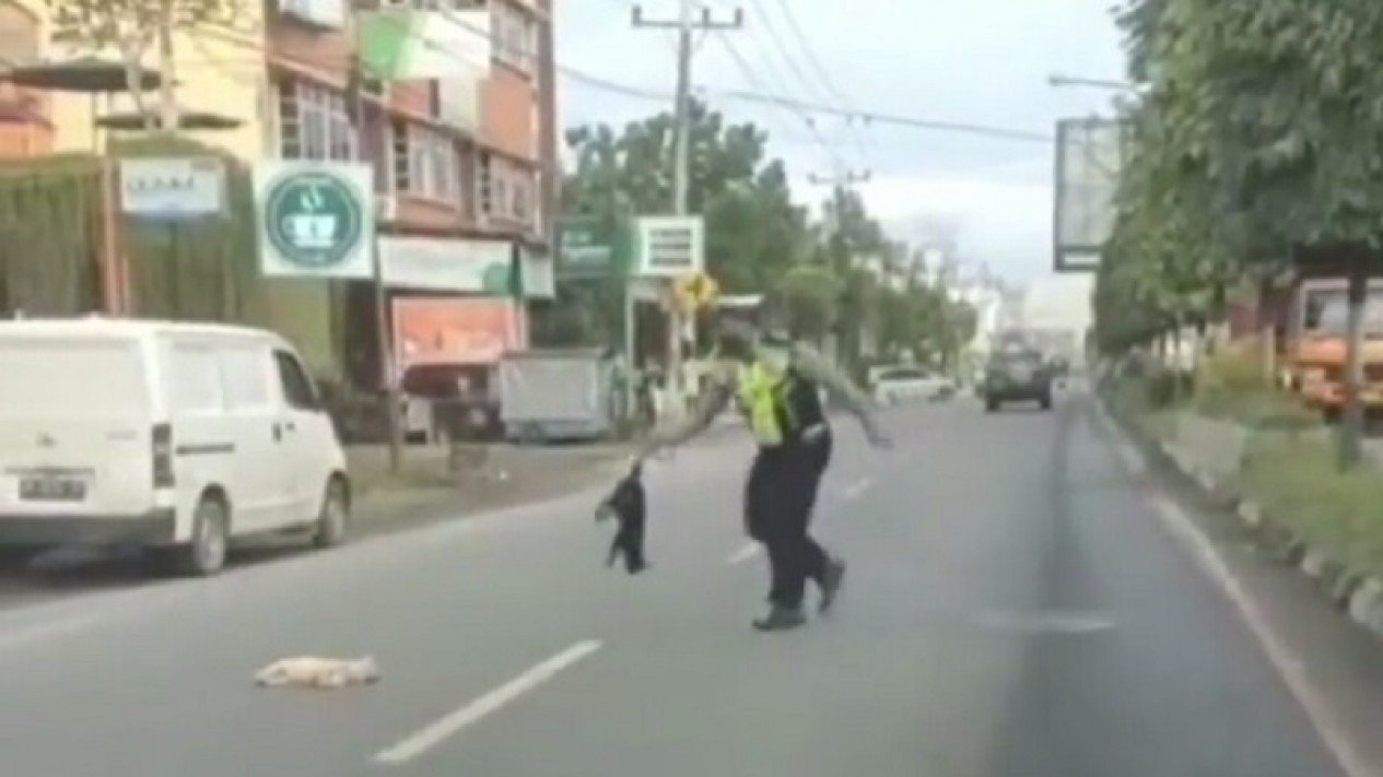 Foto Aiptu Gunawan Angkat dan Kuburkan Kucing yang Terlindas Mobil Foto Aiptu Gunawan Angkat dan Kuburkan Kucing yang Terlindas Mobil